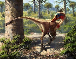 Becklespinax Pictures & Facts - The Dinosaur Database